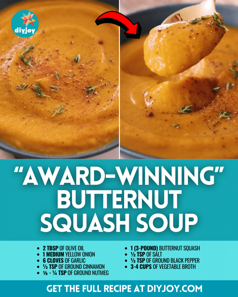 Award Winning Butternut Squash Soup Recipe Diy Joy